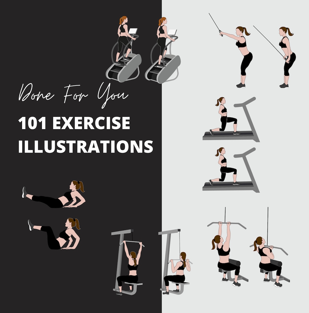 101 Exercise Illustrations in PNG Format for Health and Fitness Coaches ...