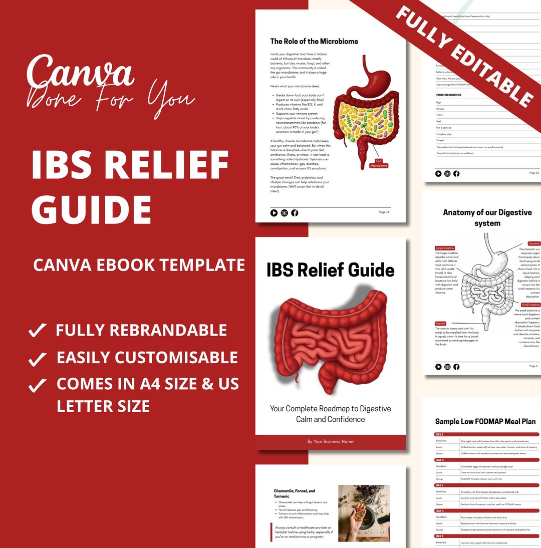 PLR IBS Relief Guide: Canva Ebook Template + Instagram Posts - Etsy