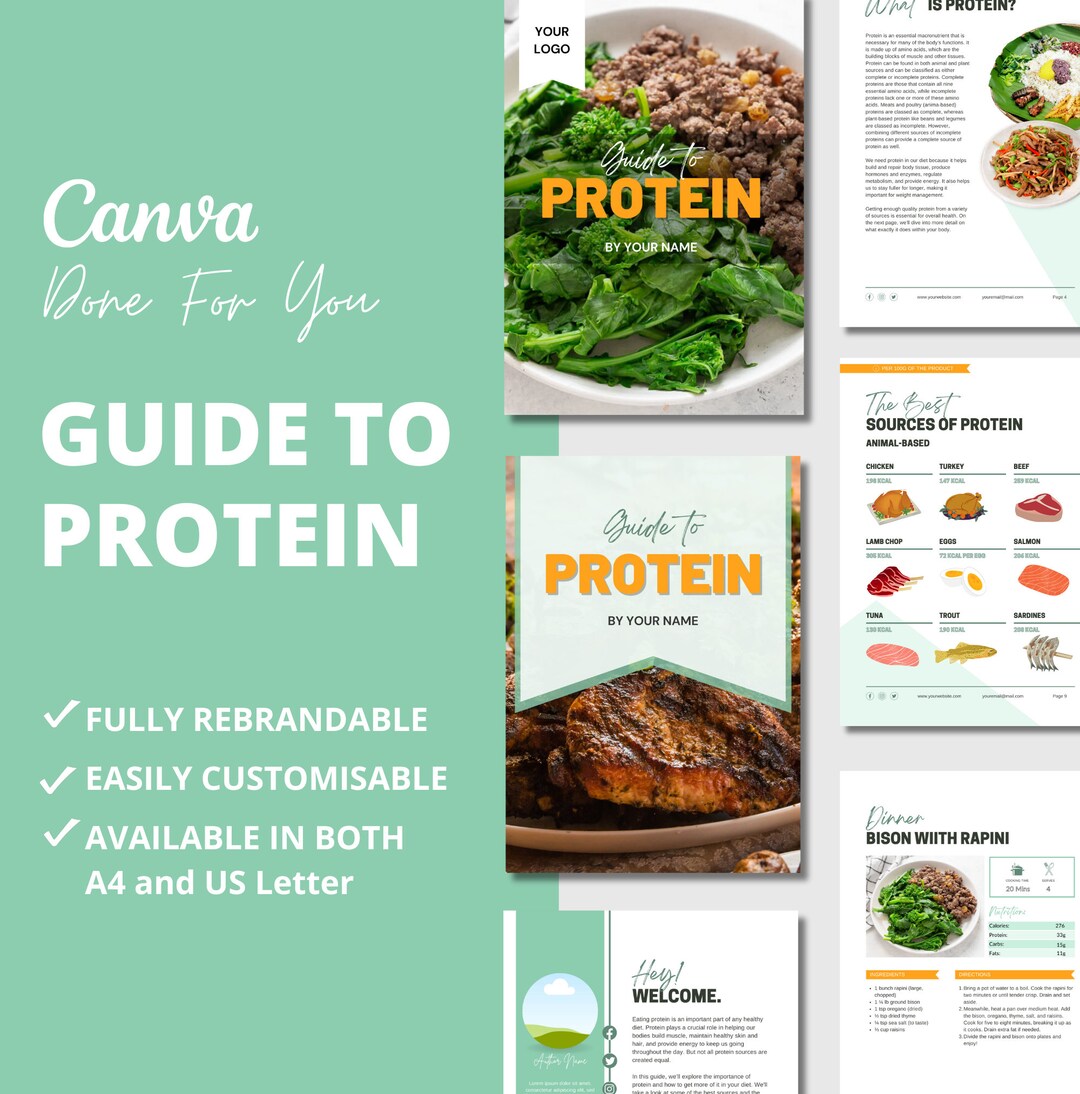 PLR Protein Guide: Canva Ebook Template for Coaches - Etsy