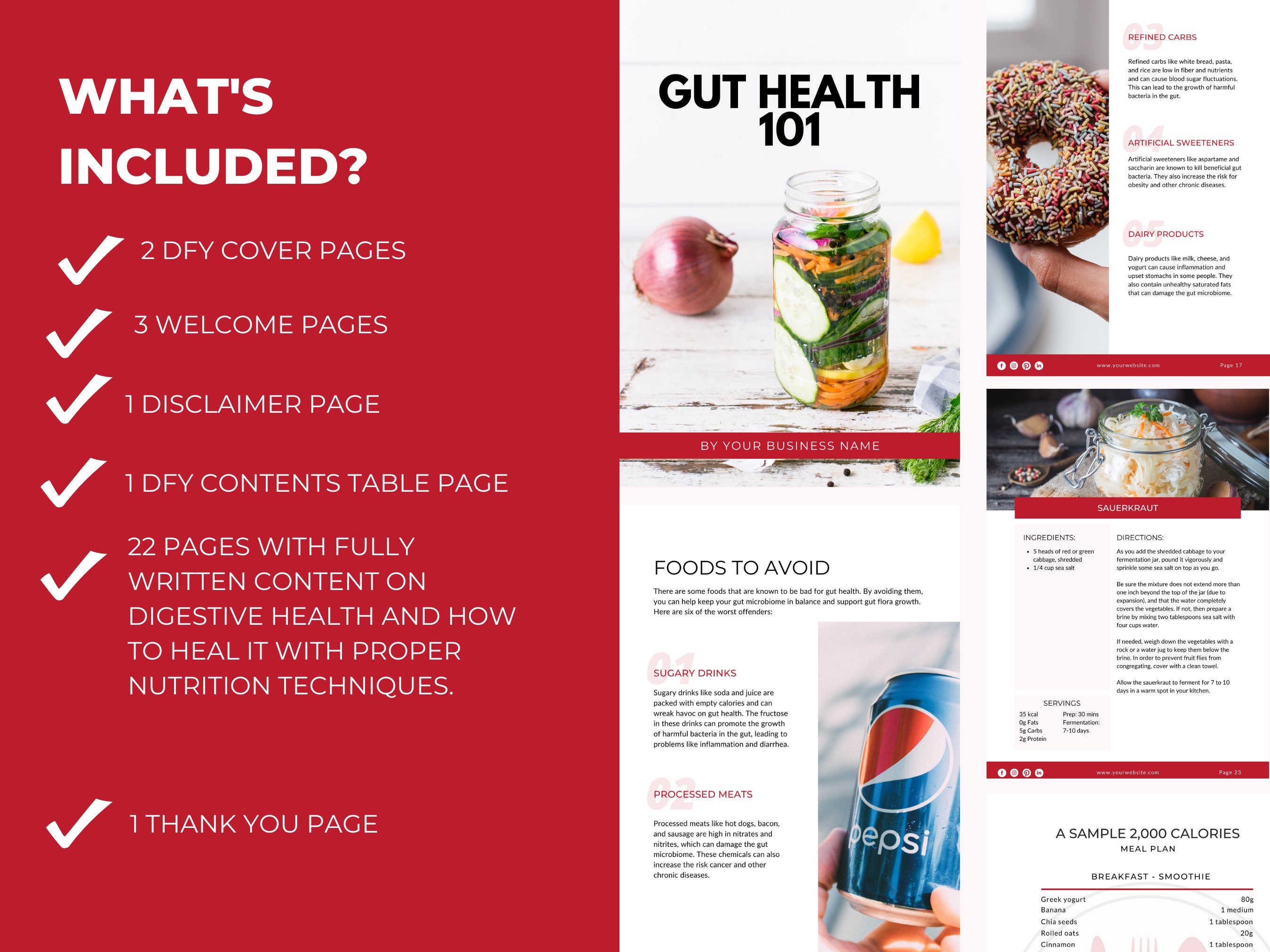 Gut Health 101 Guide Nutrition Template Ebook Template - Etsy