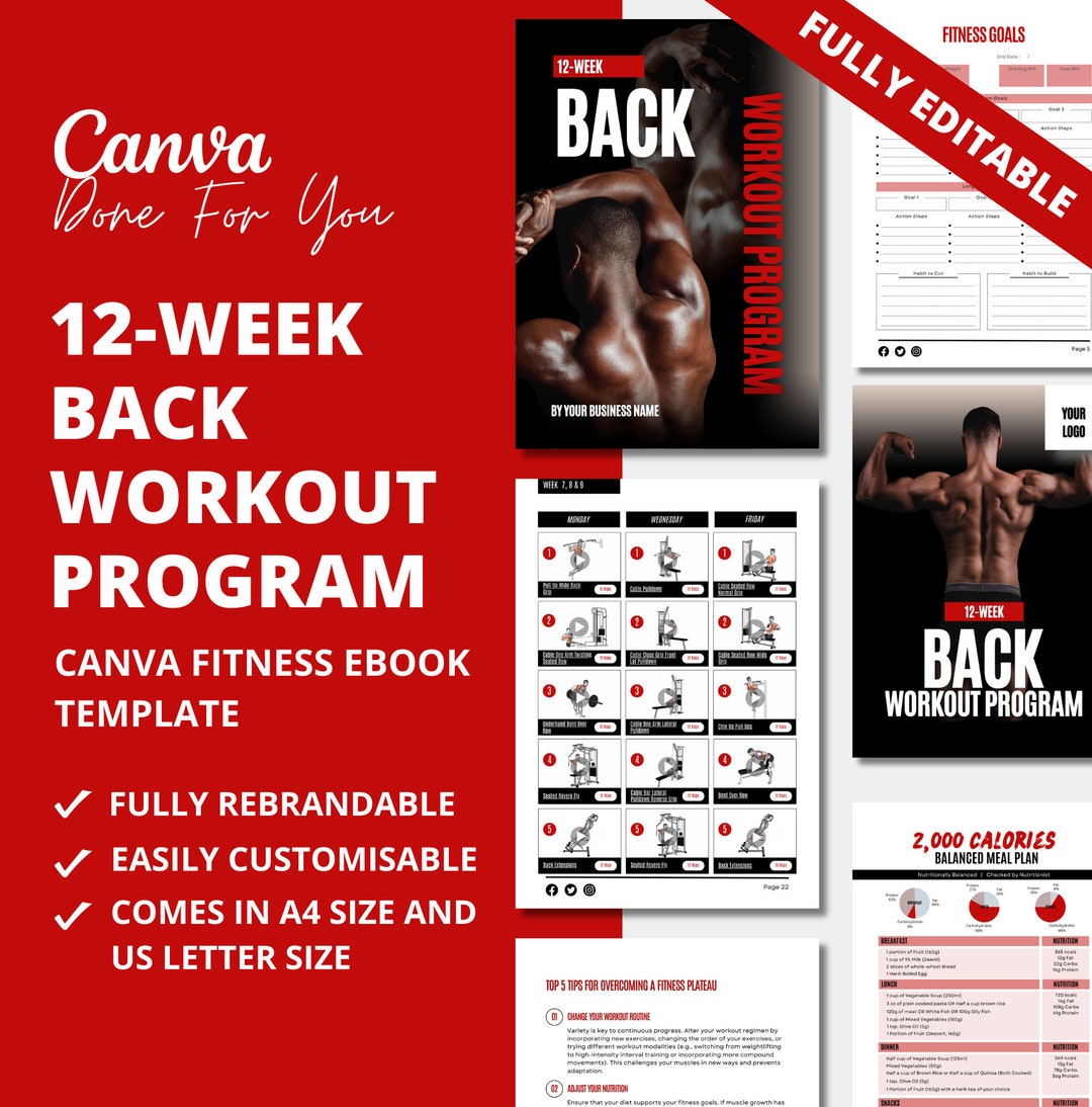 12-week Back Workout Program: Canva Ebook Template (PLR Digital Product ...