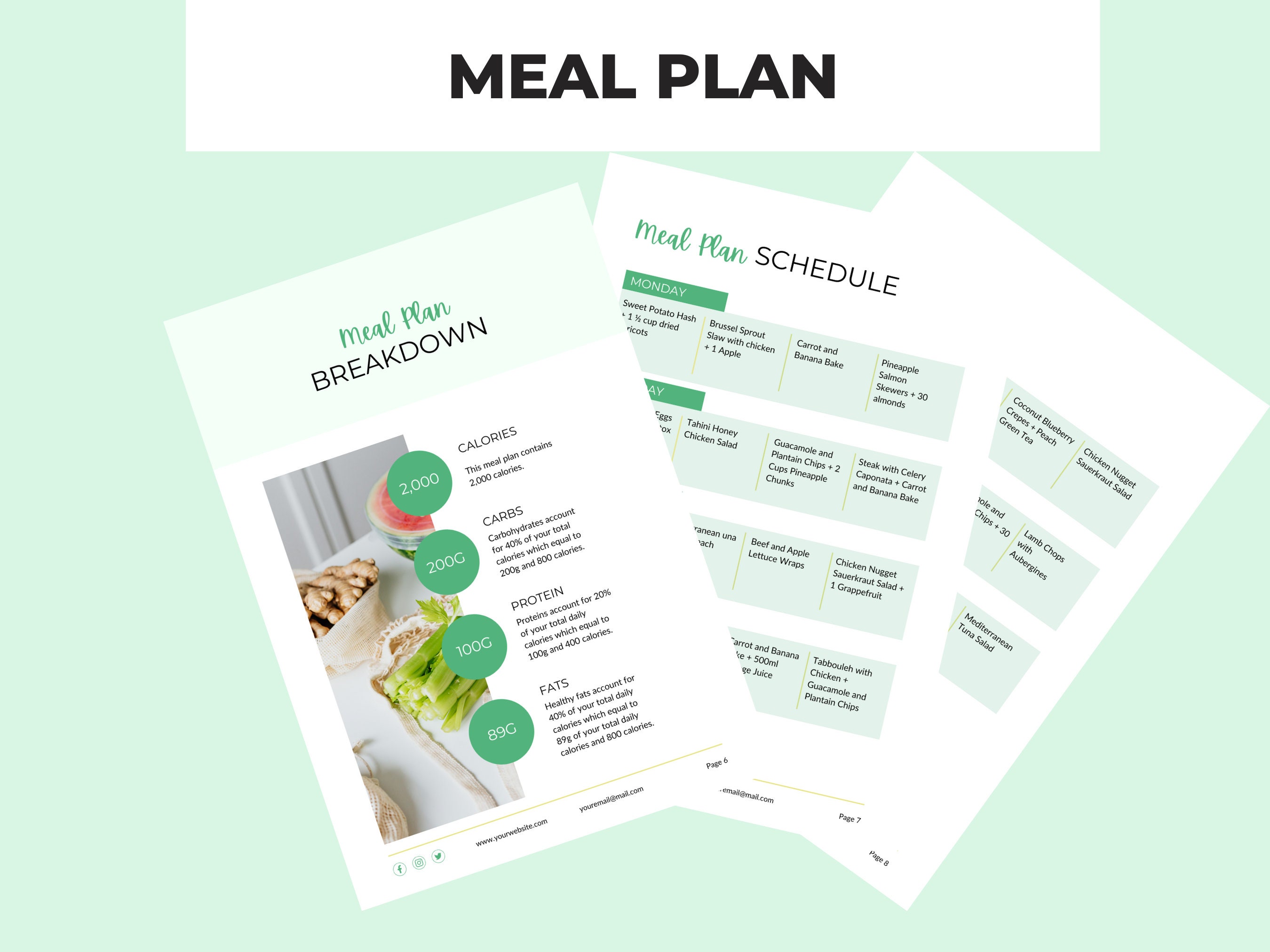 7-day PALEO Meal Plan Template With Delicious Recipes, 2,000 Calories ...