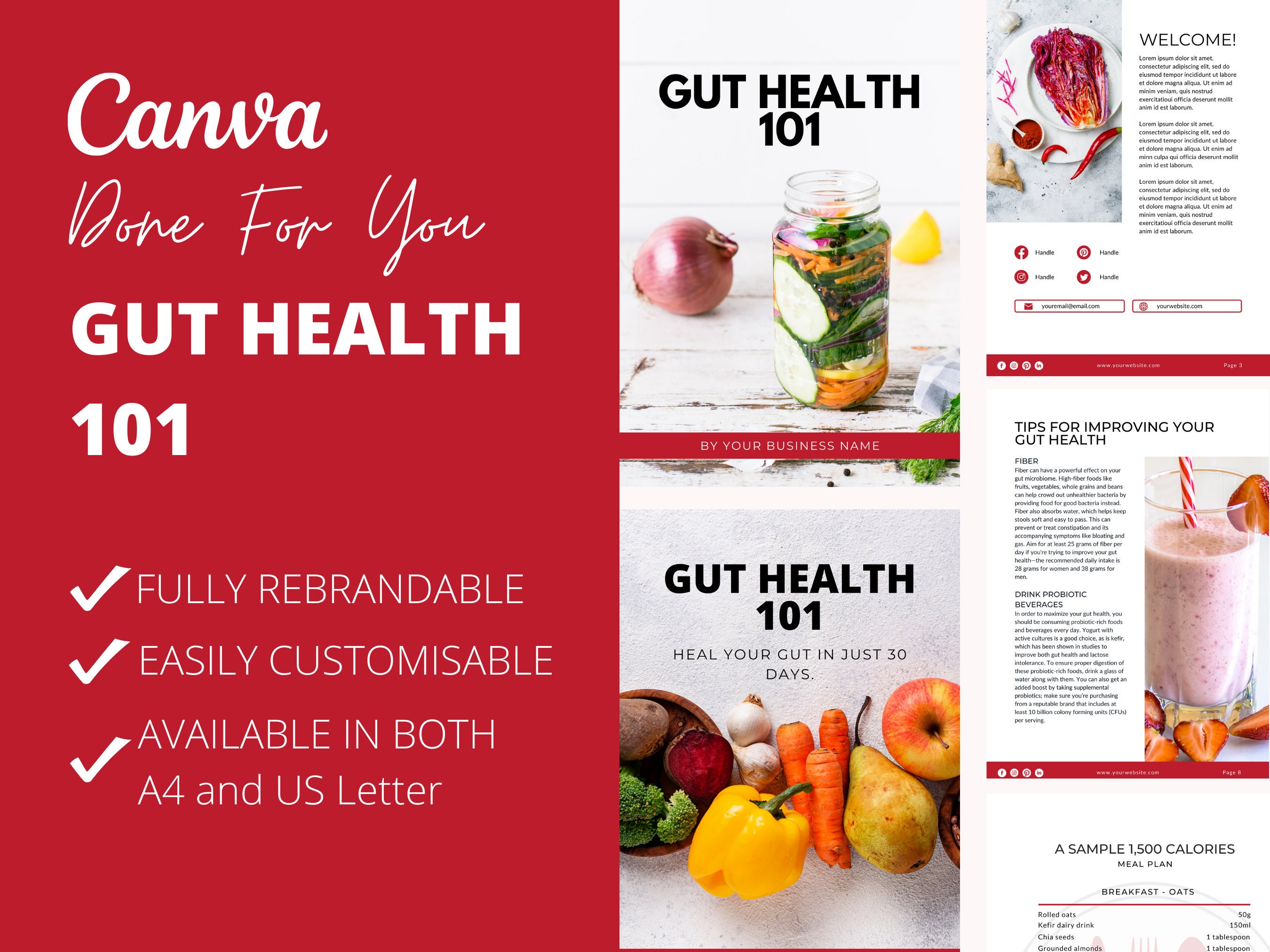 Gut Health 101 Guide Nutrition Template Ebook Template - Etsy
