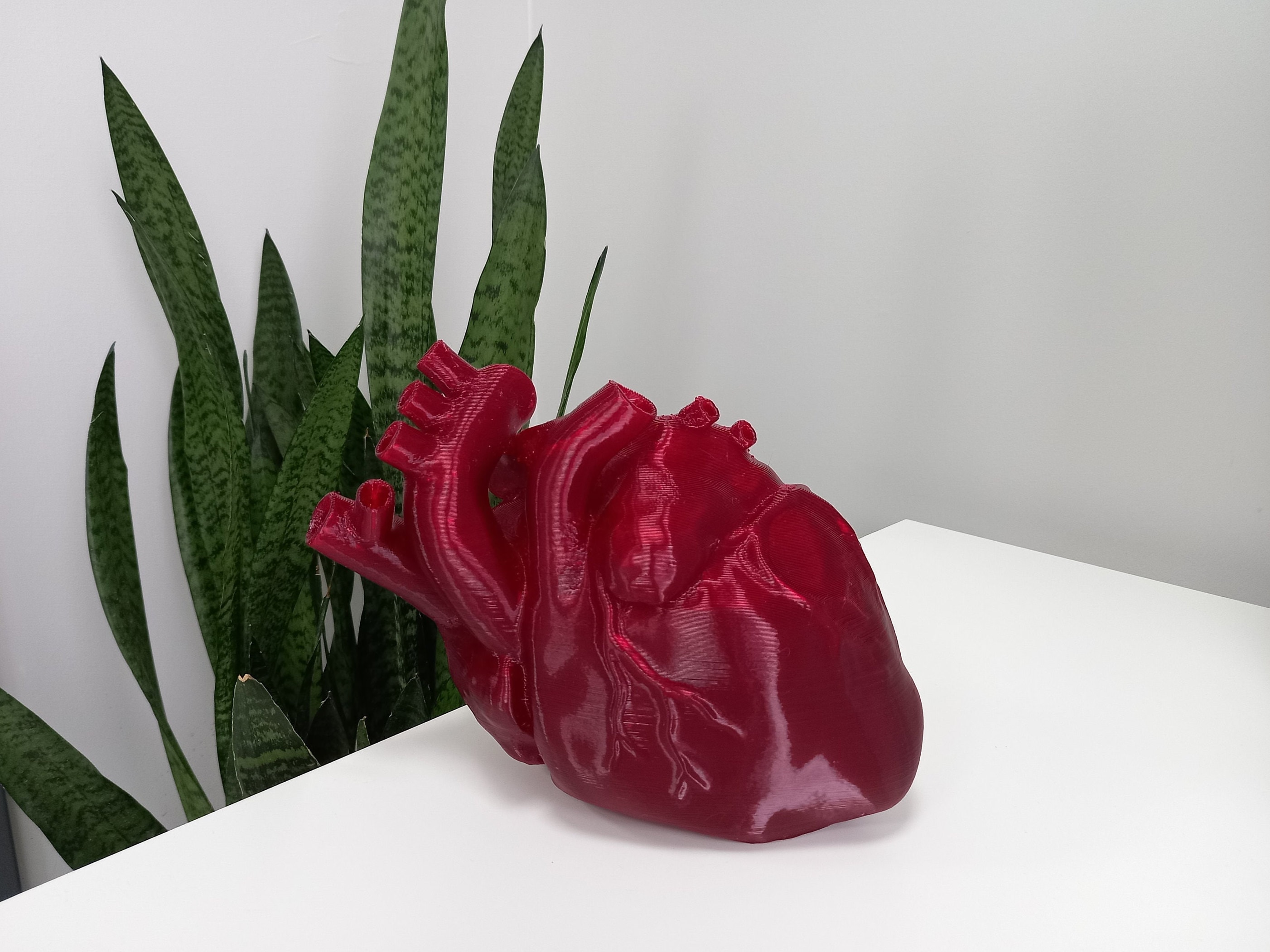Wine Red Anatomical Heart Model 3D Printed Heart Model for Accessory ...