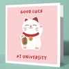 Good Luck on Your Driving Test Greeting Card Learner Driver Learning to ...