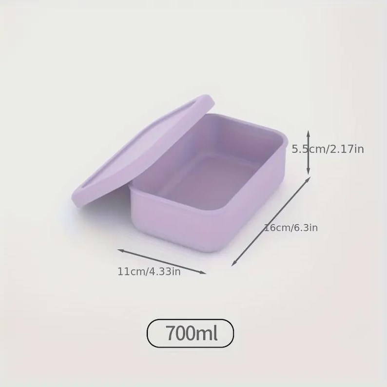 Silicone Lunch Box: Eco-friendly Bento Box for Kids and Adults - Etsy
