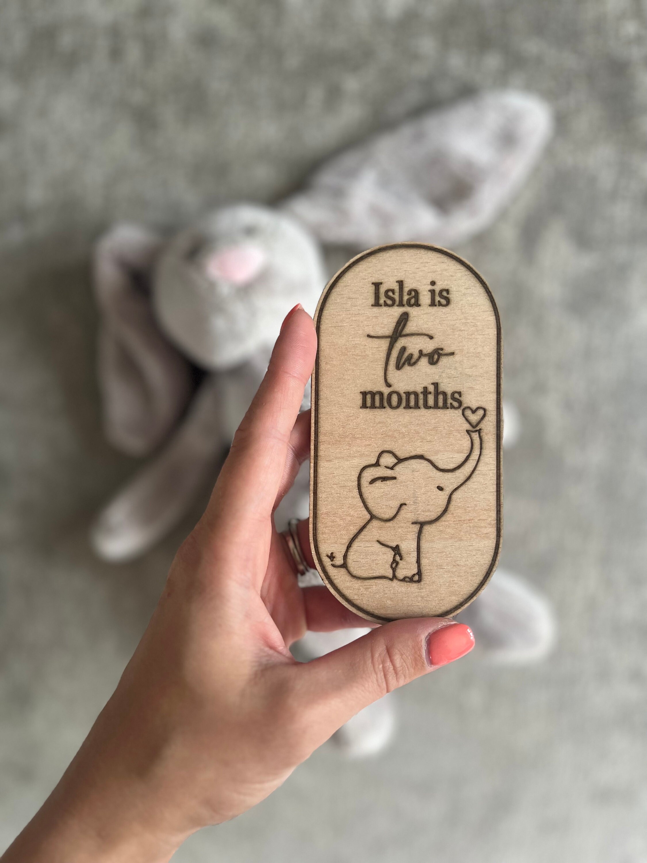 Baby Milestone Disc Personalised Baby Milestone Discs - Etsy UK