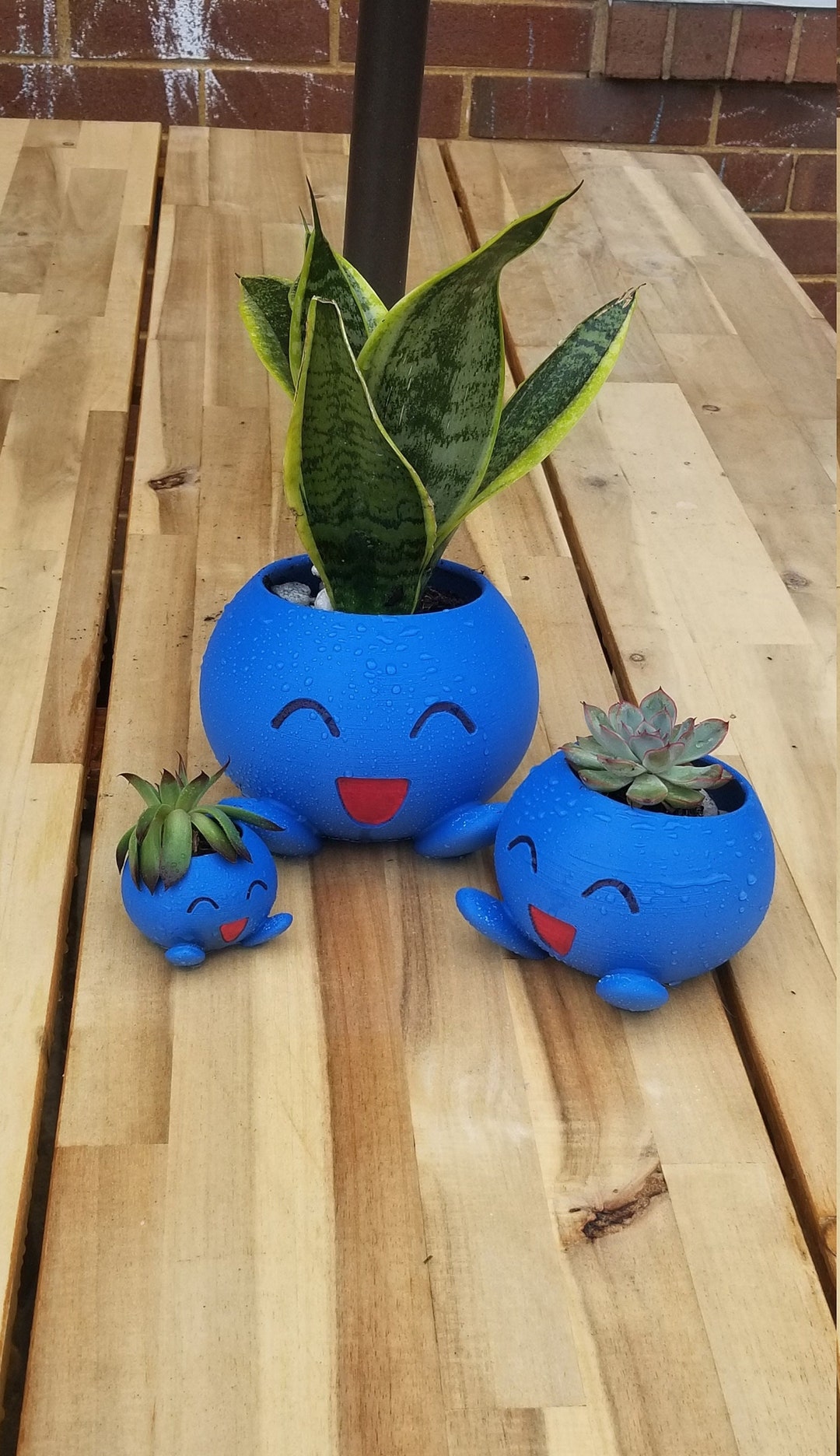 Pokemon Oddish Planters/ Nostalgia Planter/ Snake Plant/ Happy Face ...