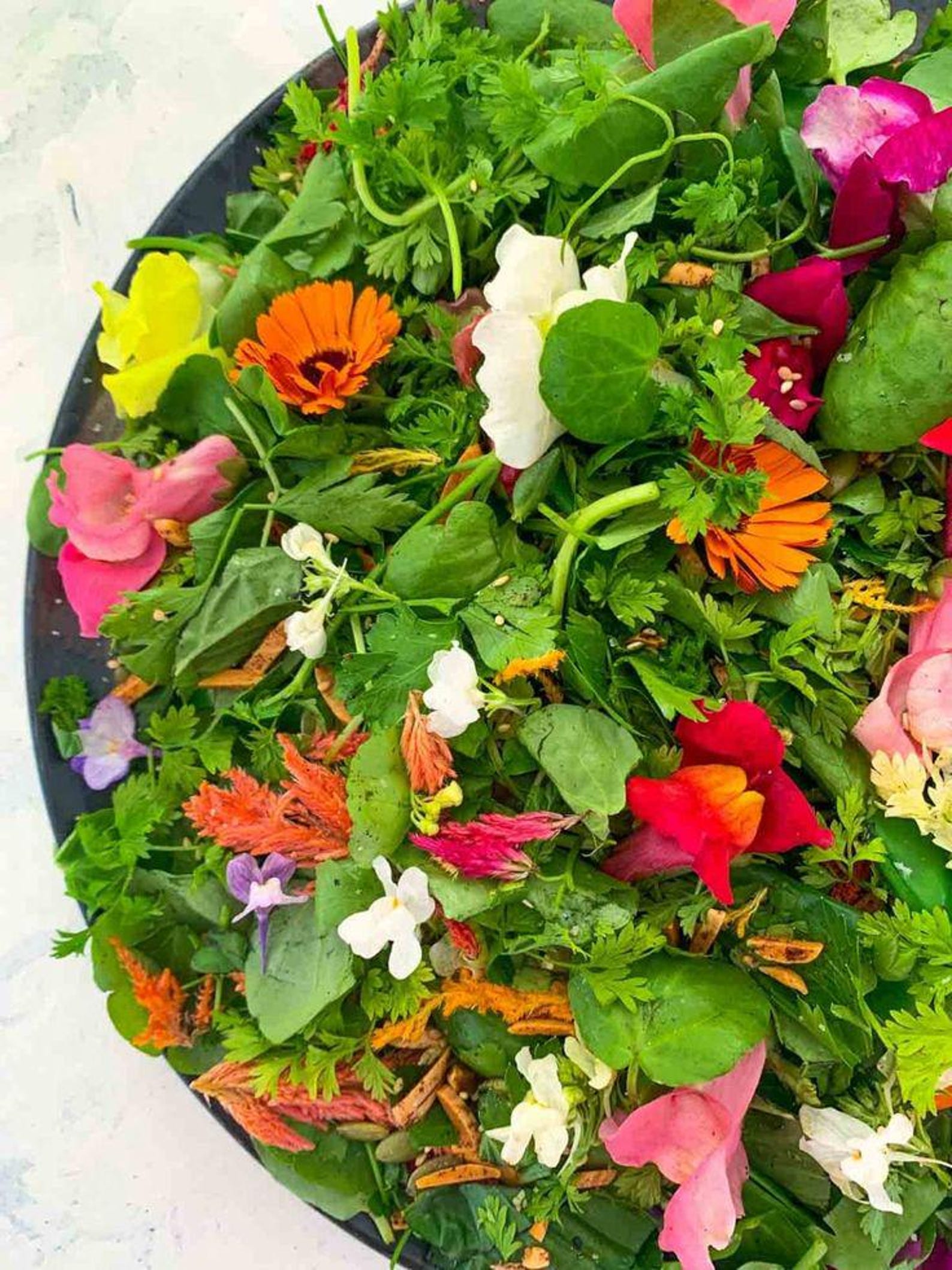 50+ Beautiful Edible Flower and Herb Mix Seeds - Calendula, Bachlor ...