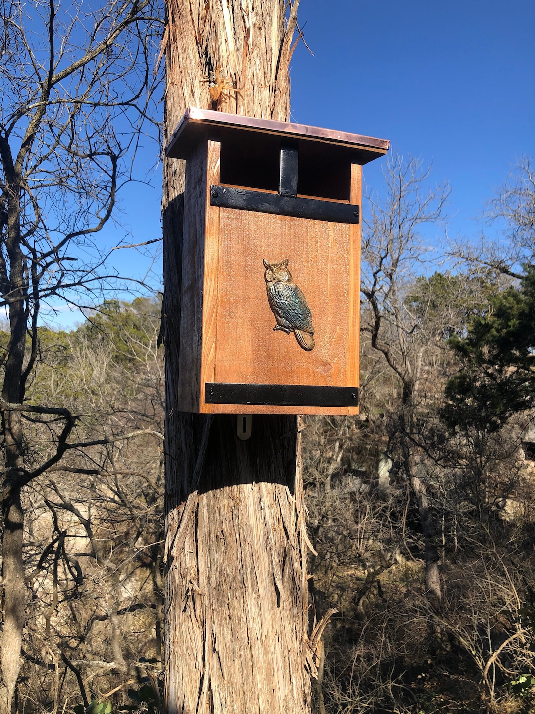 Handmade Cedar and Steel Screech Owl Box - Etsy