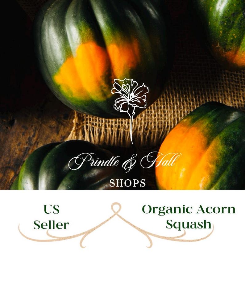 Organic Acorn Squash - Etsy