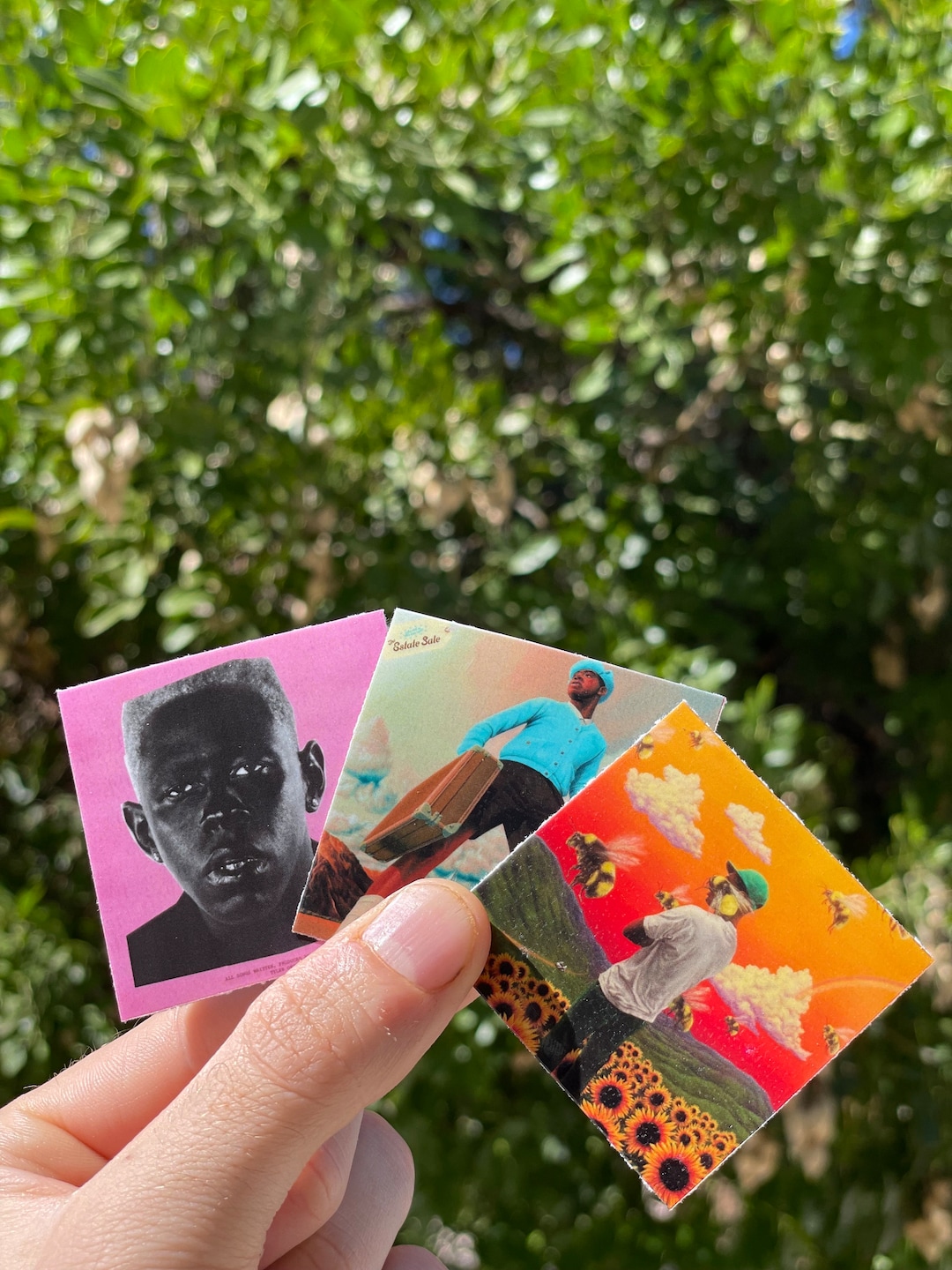 TYLER Album Cover Sticker Pack, Custom Album Stickers, IGOR Stickers ...