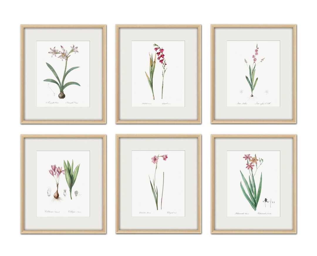 Pink Botanical Print Set, Flower Prints, Kitchen Wall Decor, Redoute ...