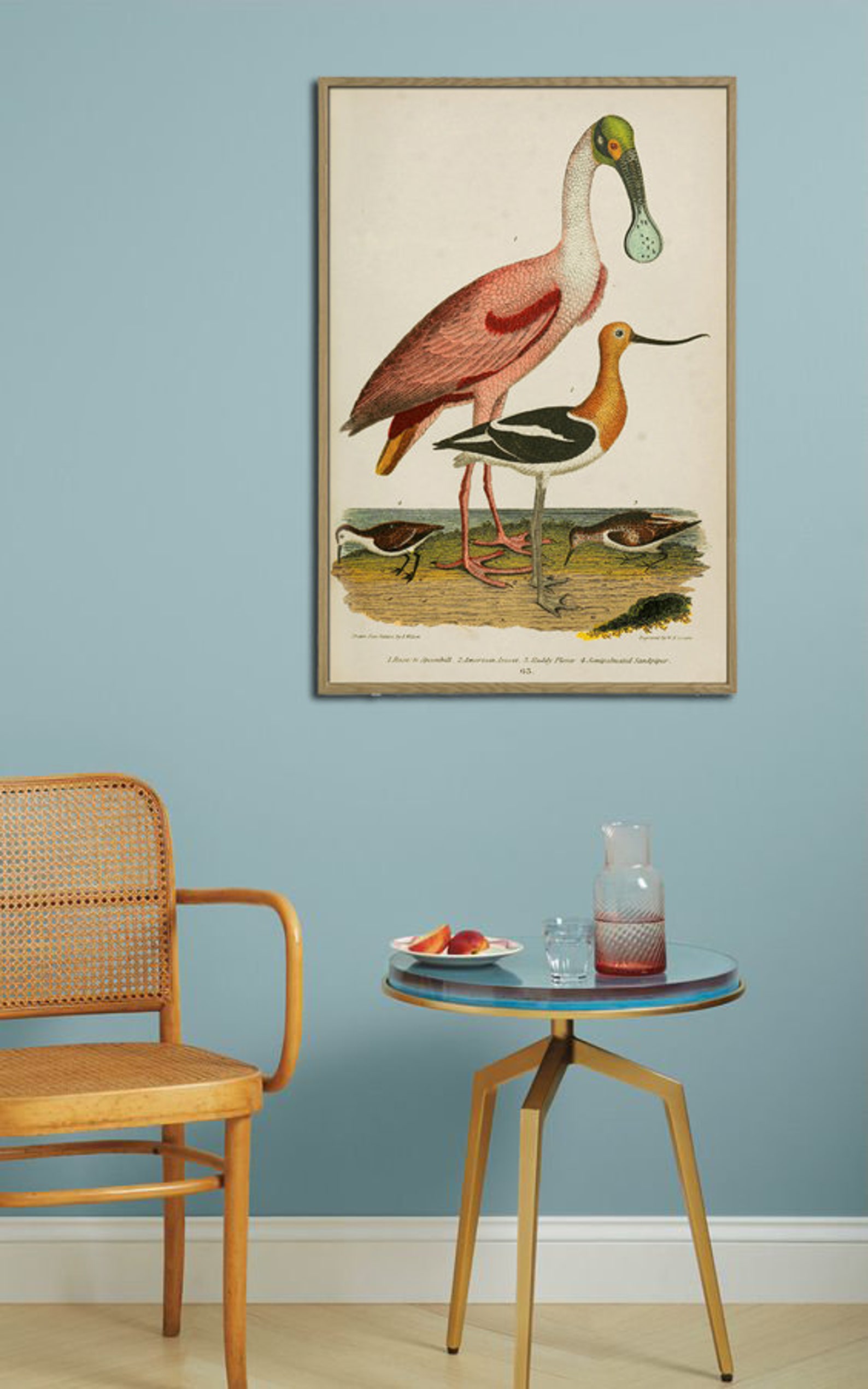 Spoonbill Print, Birds Illustration for Wall Decotating - Etsy