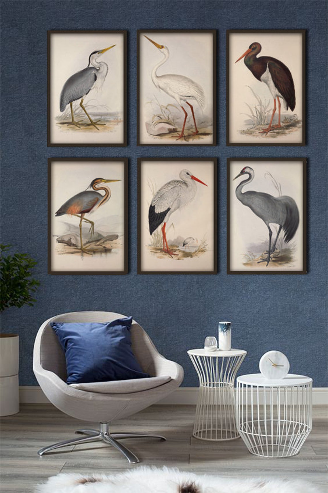 Antique Bird Print Set Bird Art Print Set Vintage Prints Bird - Etsy