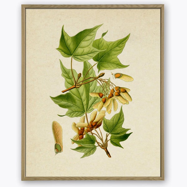 Large Maple Leaf Wall Art - Etsy