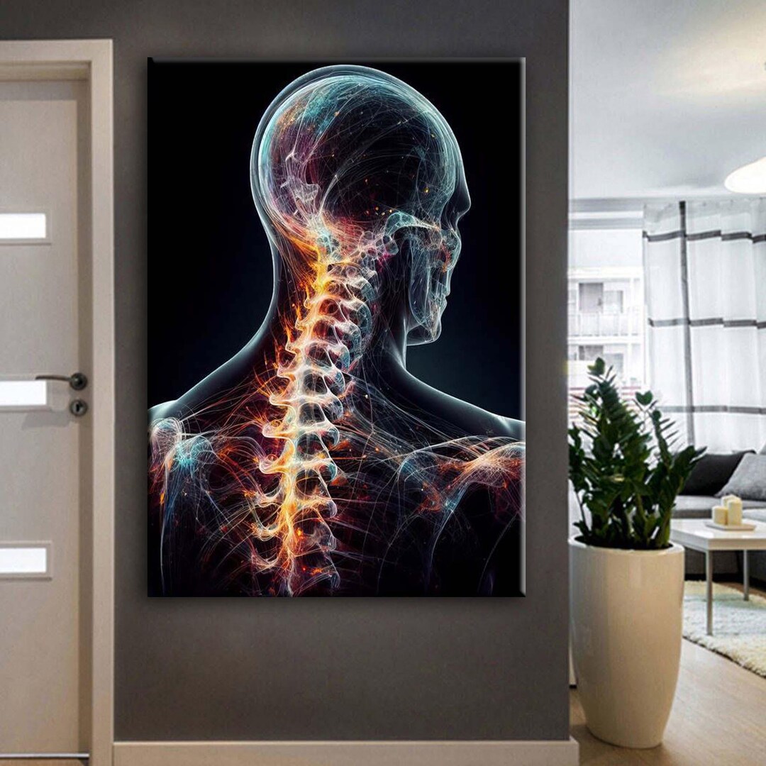 Anatomie, colonne vertébrale, système nerveux, neurone, scientifique ...