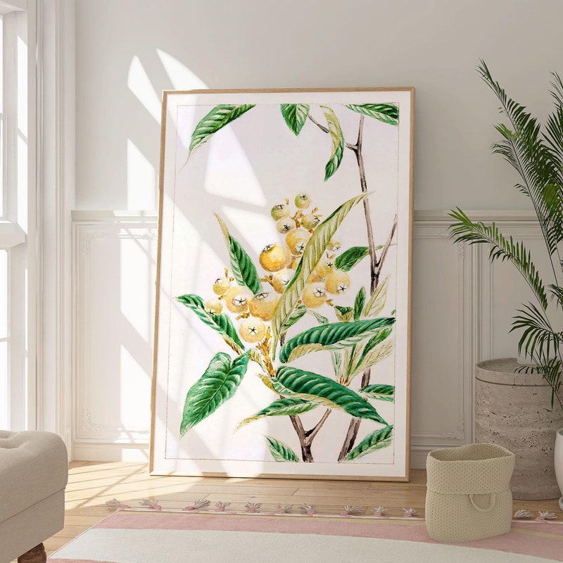 Loquat Tree Wall Art - Etsy UK