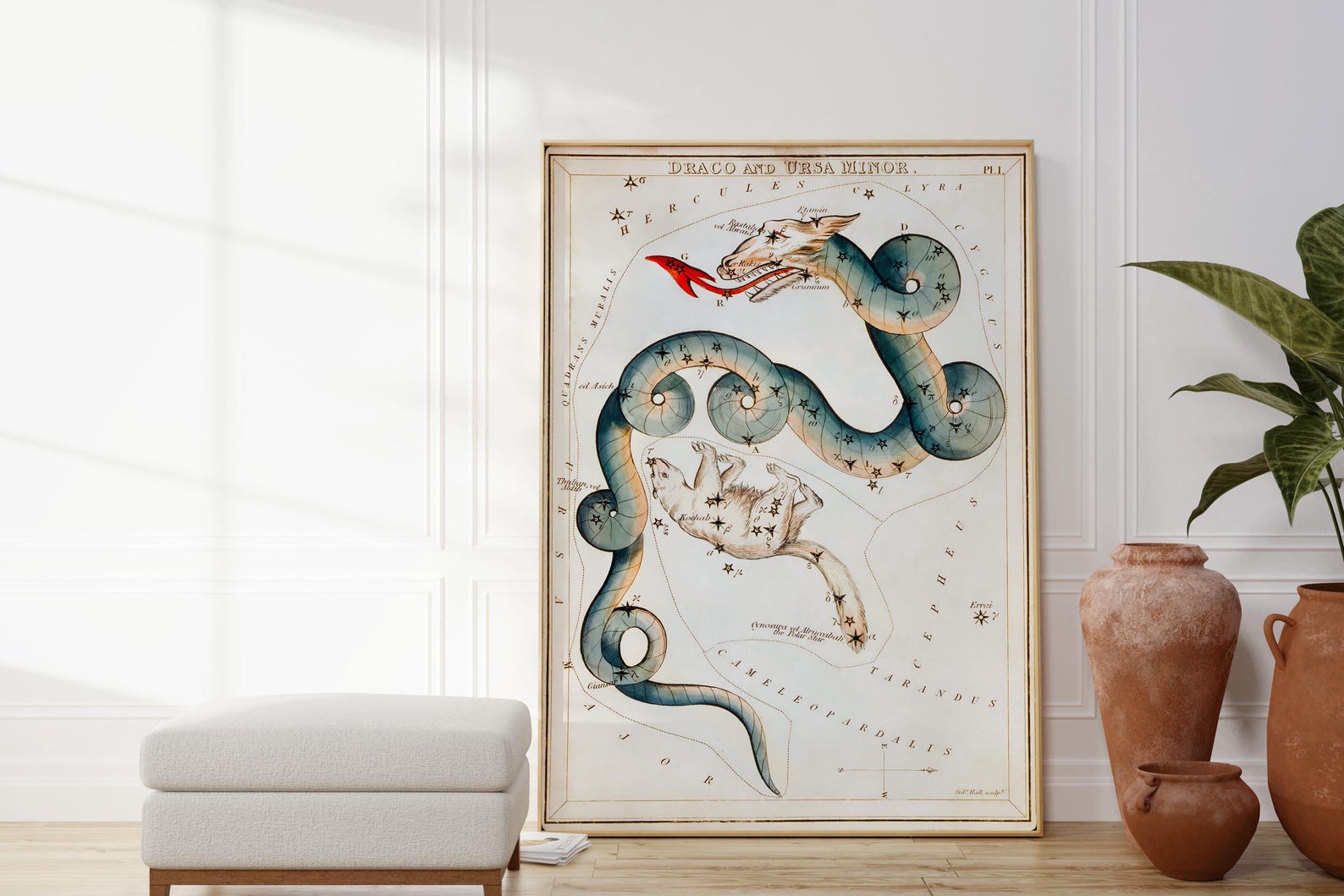 Draco and Ursa Minor Star Map Poster, Celestial Constellation Art Print ...