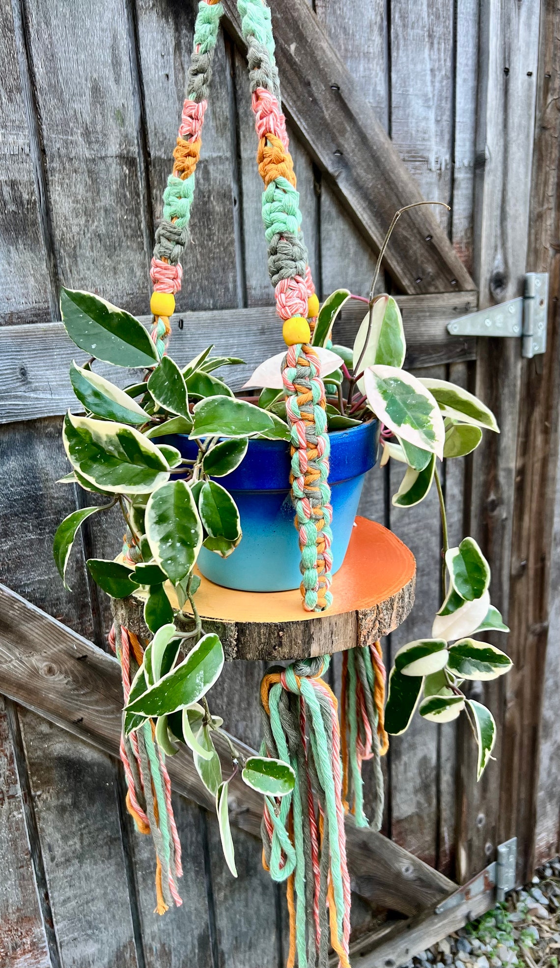 Tree Branches Bark Edge Hanger Plate - Etsy