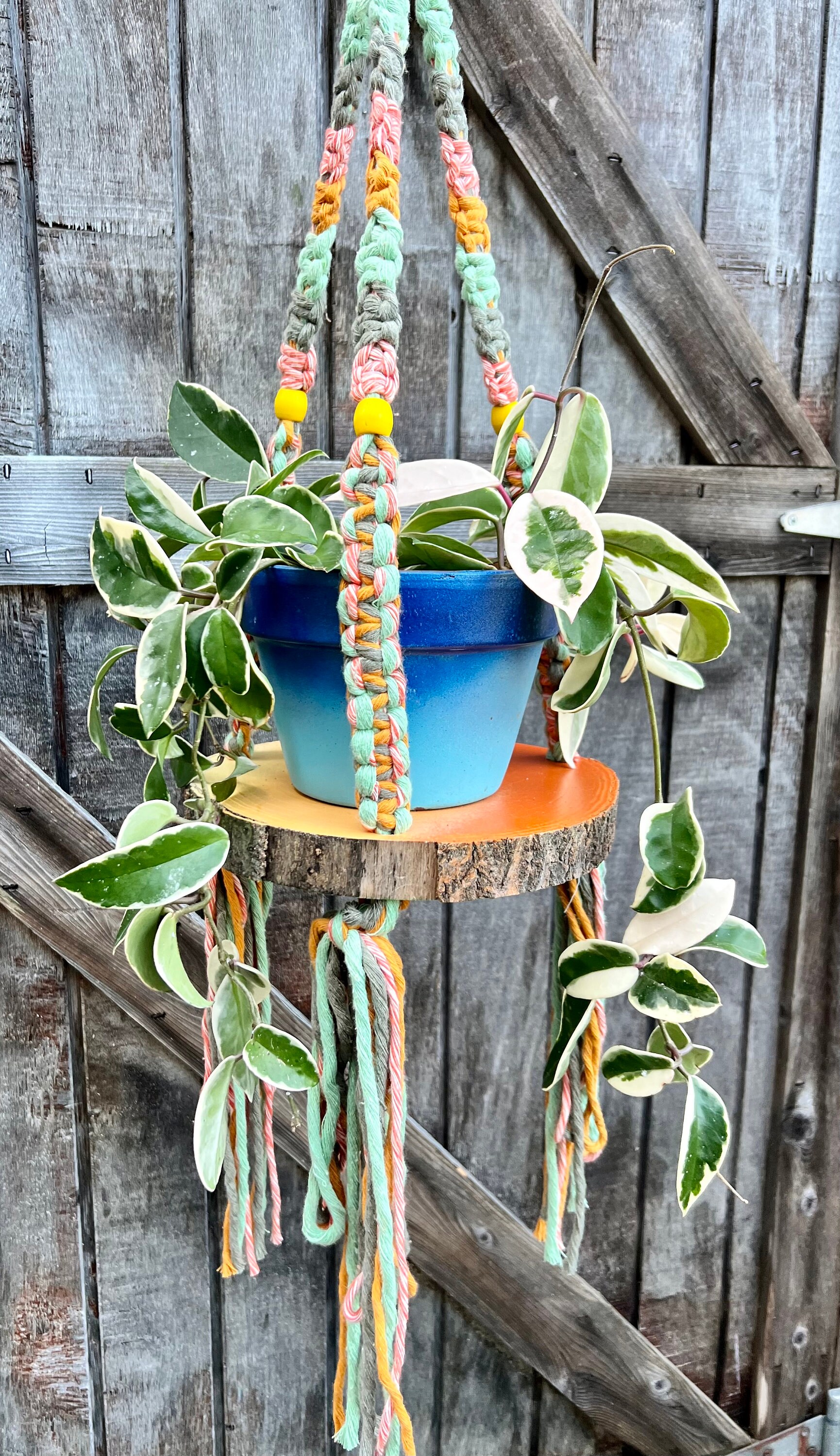 Tree Branches Bark Edge Hanger Plate - Etsy