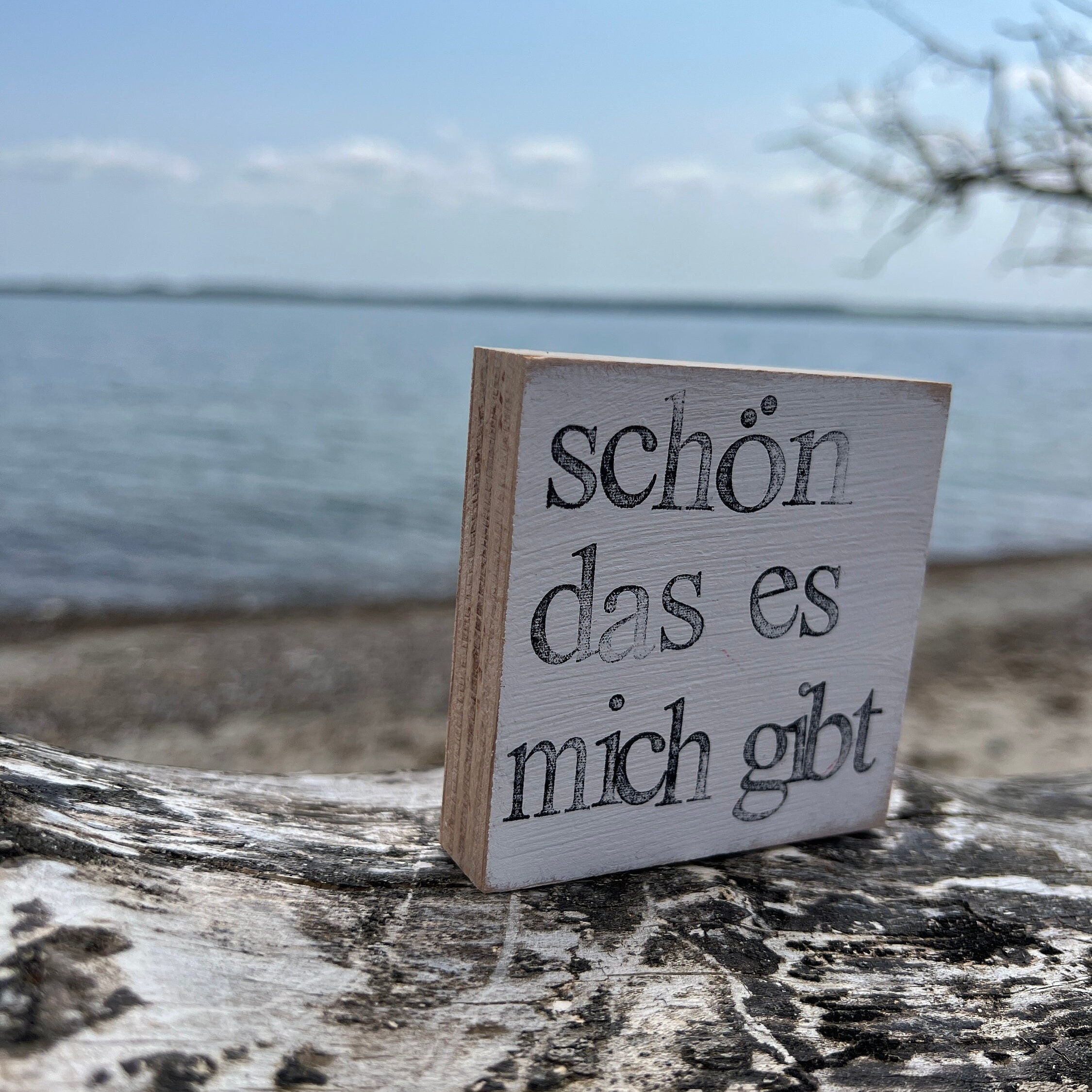Schon Dass Es Mich Gibt