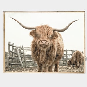 Highland Cow Farmhouse Printable Wall Art, Cattle Country Neutral Print ...