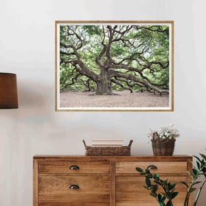 Huge Old Oak Tree Printable Wall Art Nature Charleston Print, Tree of ...