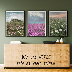 Daisy Field at Sunset Wall Art Printable or Mailed, White Wildflowers ...
