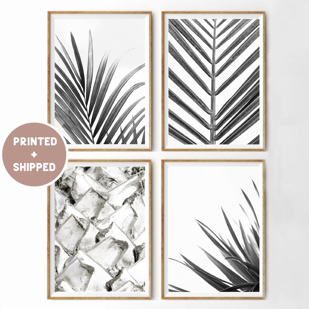 Palm Leaf Set of 4 Black and White Photo Mailed Wall Art, Palm Tree ...