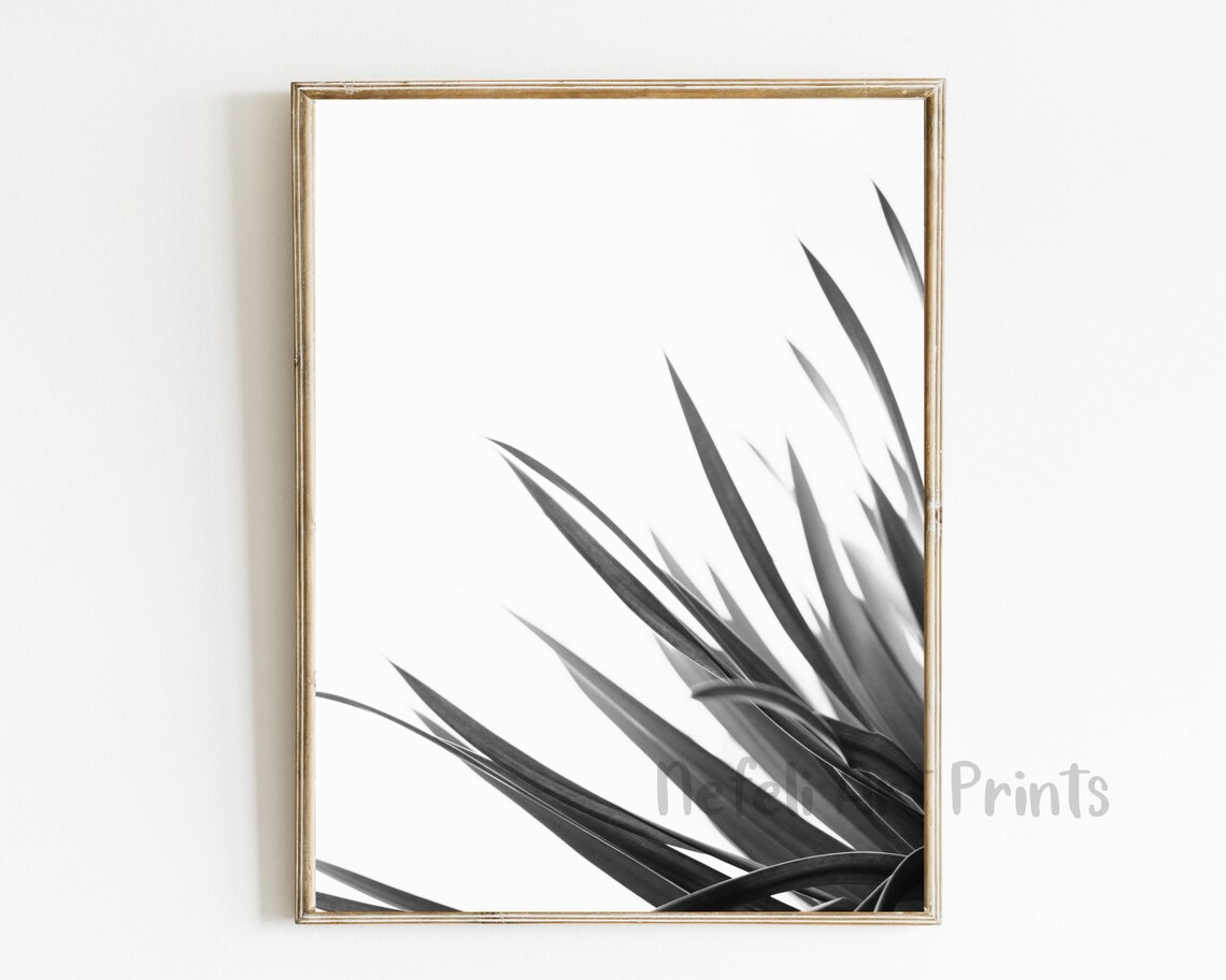 Palm Leaf Set of 4 Black and White Photo Printable or Mailed, Palm Tree ...
