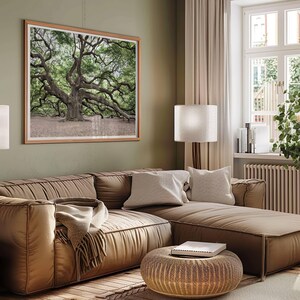 Huge Old Oak Tree Printable Wall Art Nature Charleston Print, Tree of ...