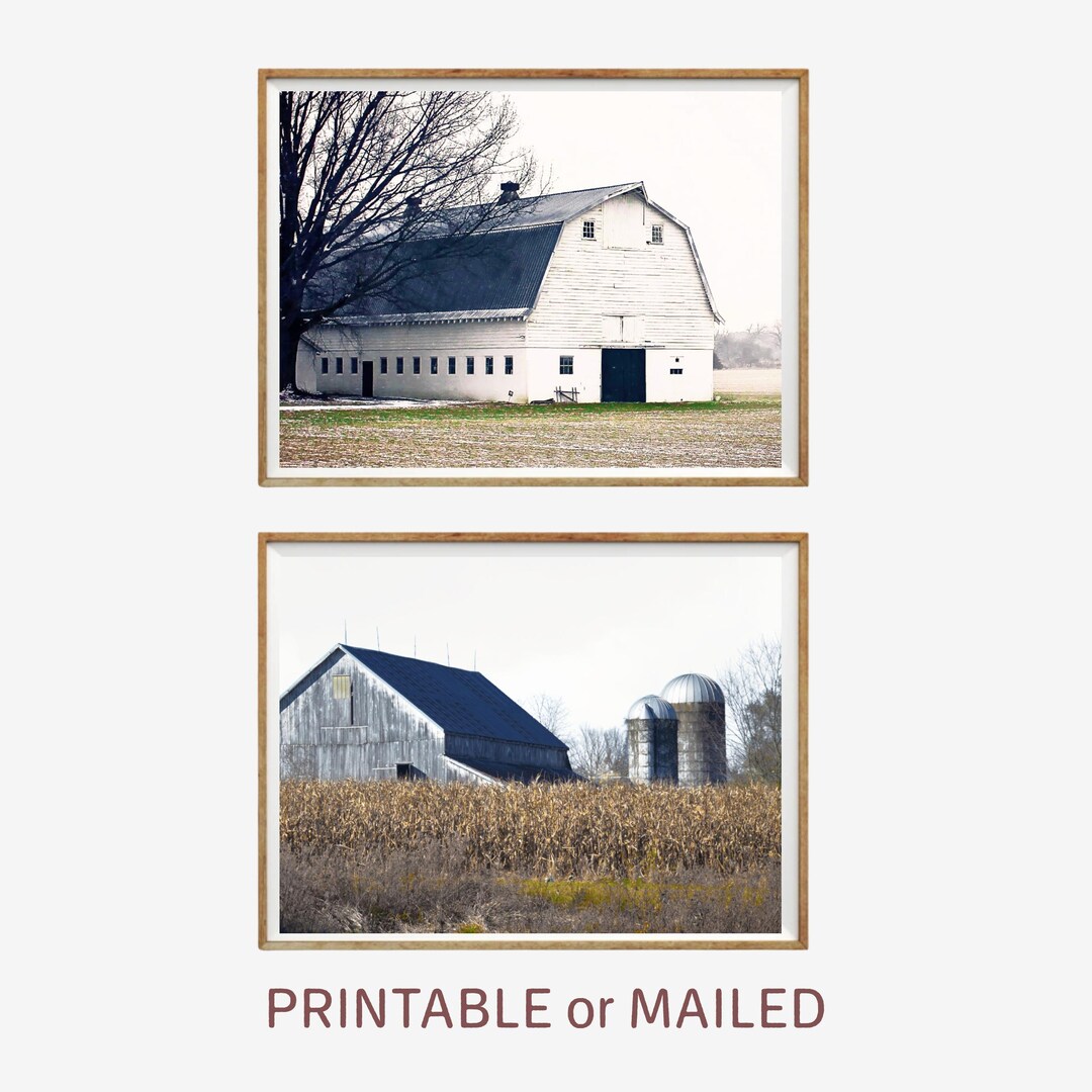 Old Barns Country Set of 2 Printable or Mailed Wall Art White Barn Silo ...