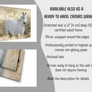 Crystal Water Beach Photography Printed and Shipped Coastal Seashore ...