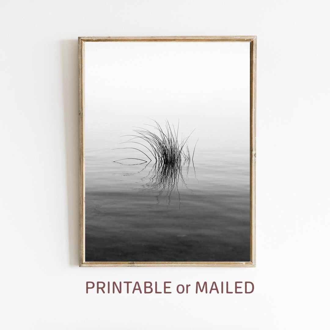 Grass in Water Black and White Wall Art Printable or Mailed, Lake Water ...