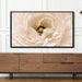 Samsung Frame Tv Art Pink Peony Instant Download Tv Art Peony Petals ...