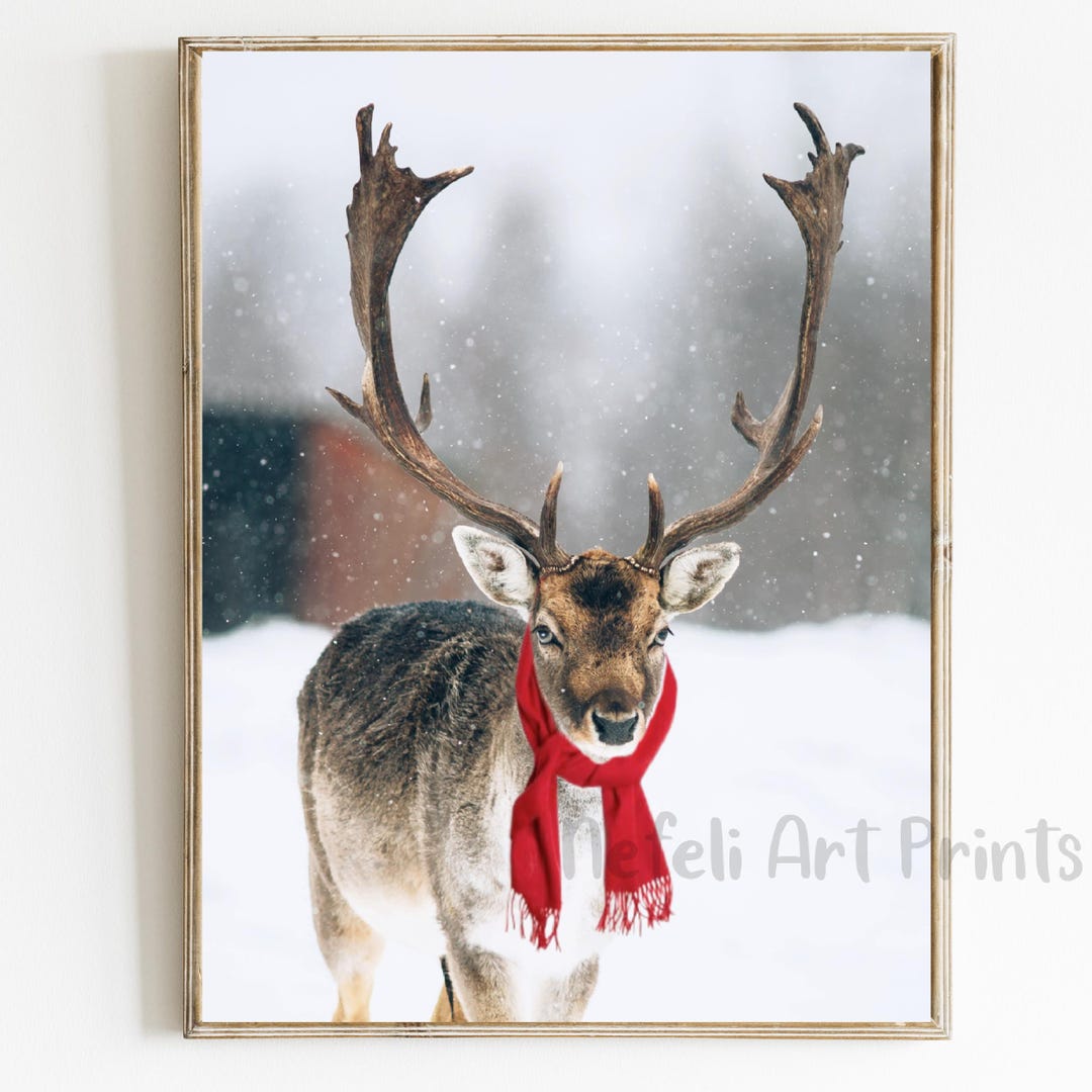 Winter Reindeer Photo Printable Wall Art Deer Christmas Print ...