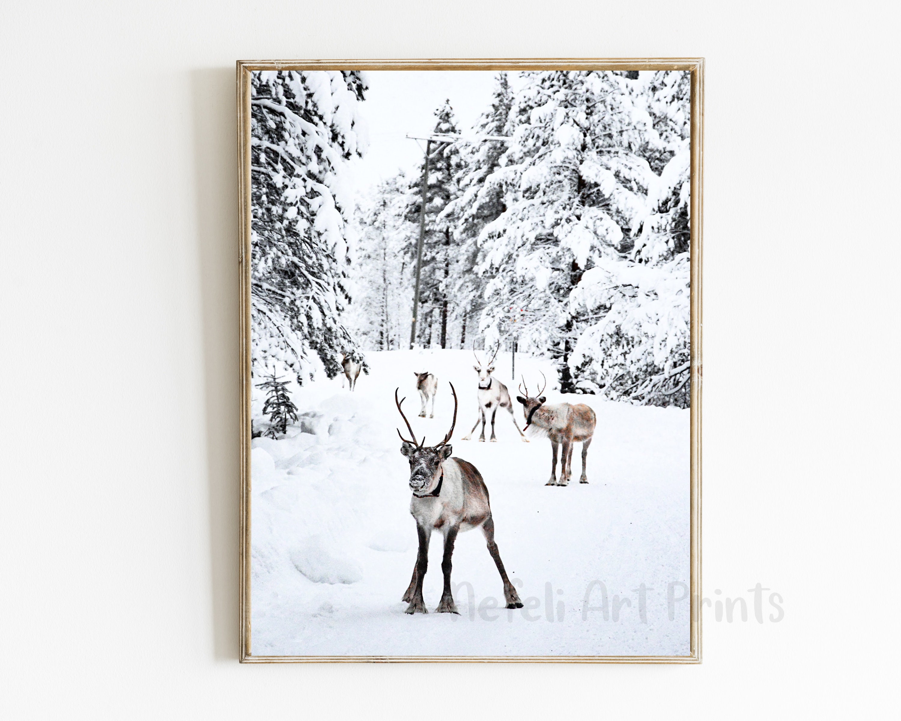 Winter Wonderland Set of 3 Printable Wall Art Snowy Forest - Etsy