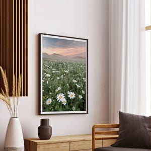 Daisy Field at Sunset Wall Art Printable or Mailed, White Wildflowers ...