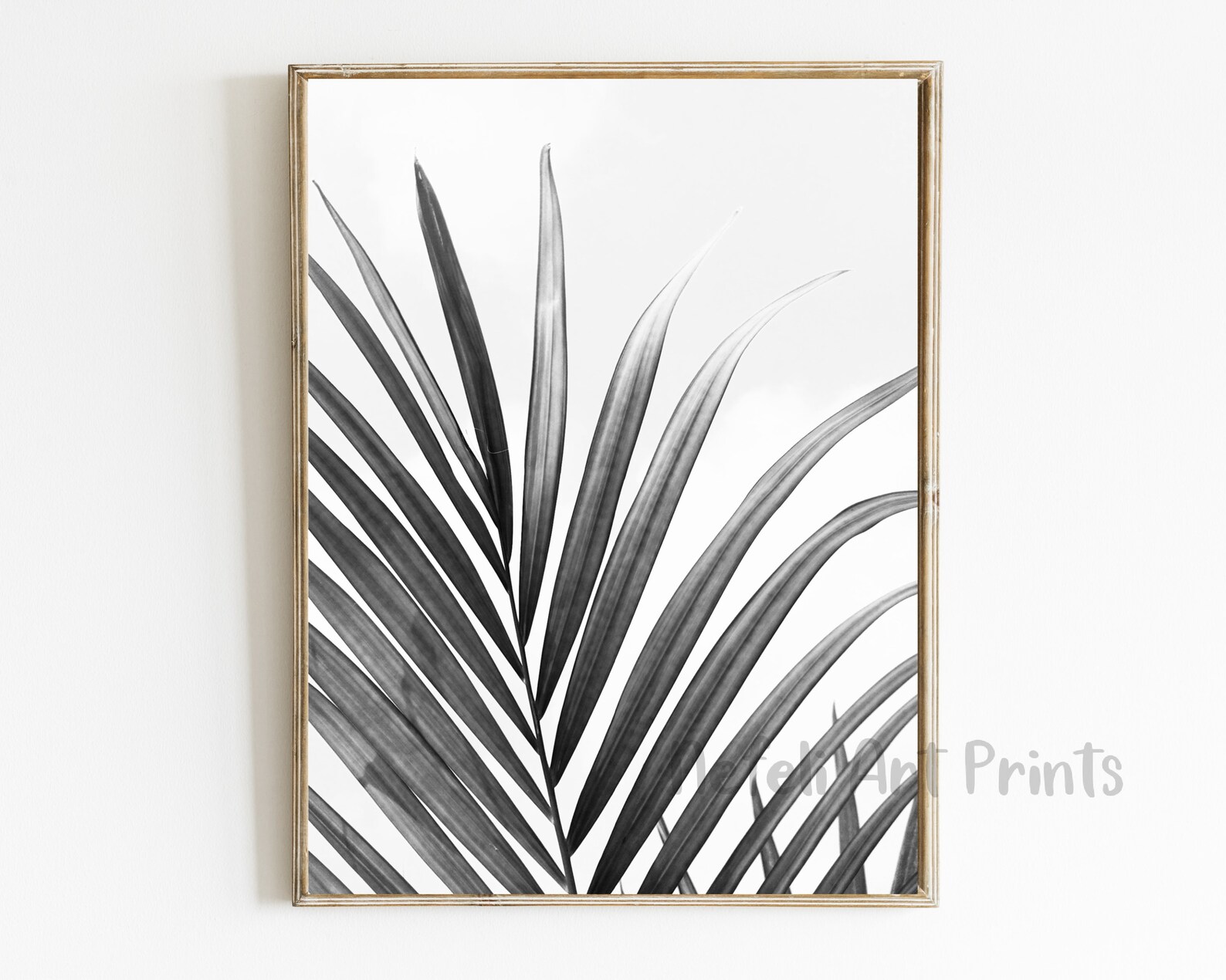 Palm Leaf Set of 4 Black and White Photo Printable or Mailed, Palm Tree ...