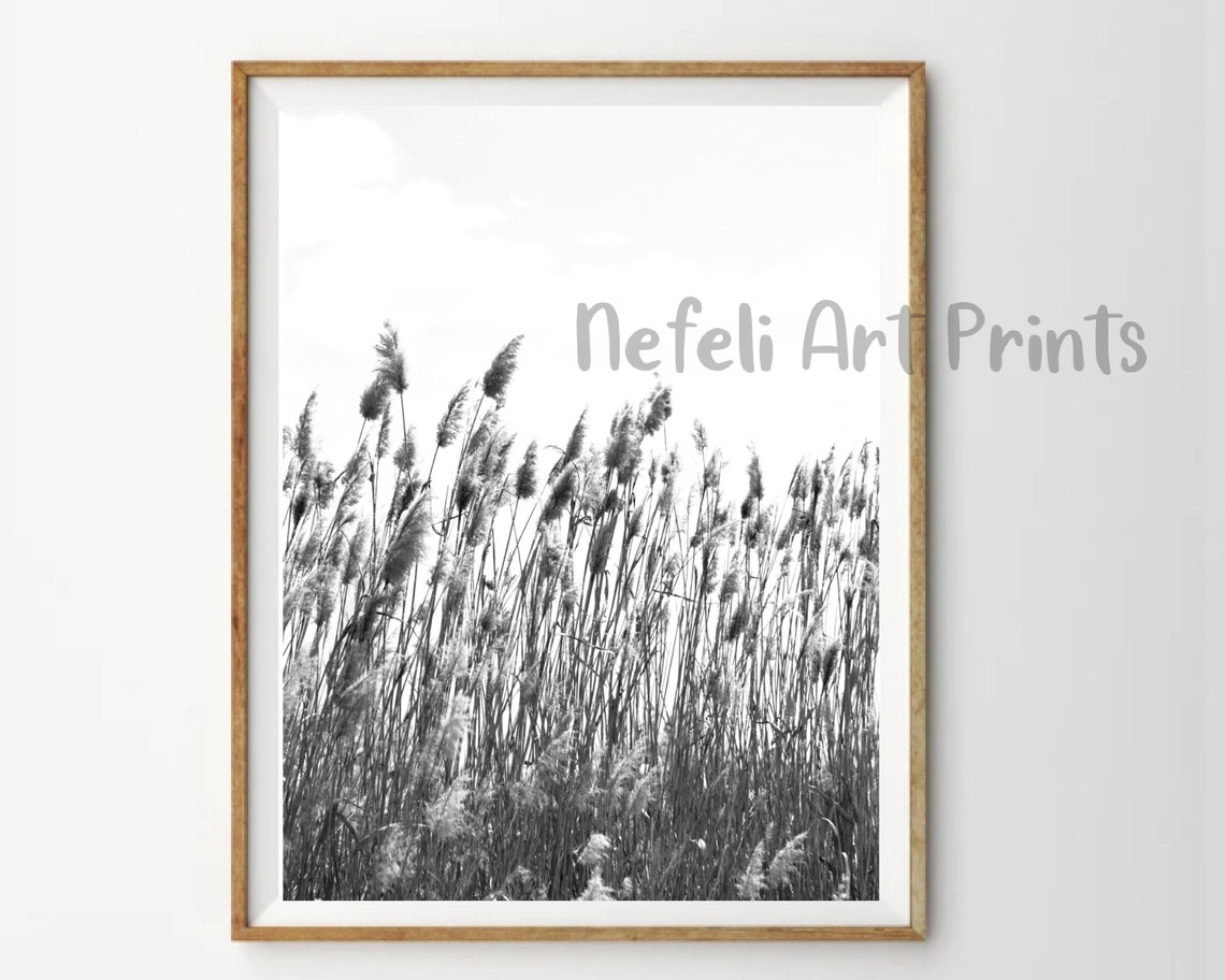 Farmhouse Black and White Set of 3 Photo Printable Wall Art | Etsy