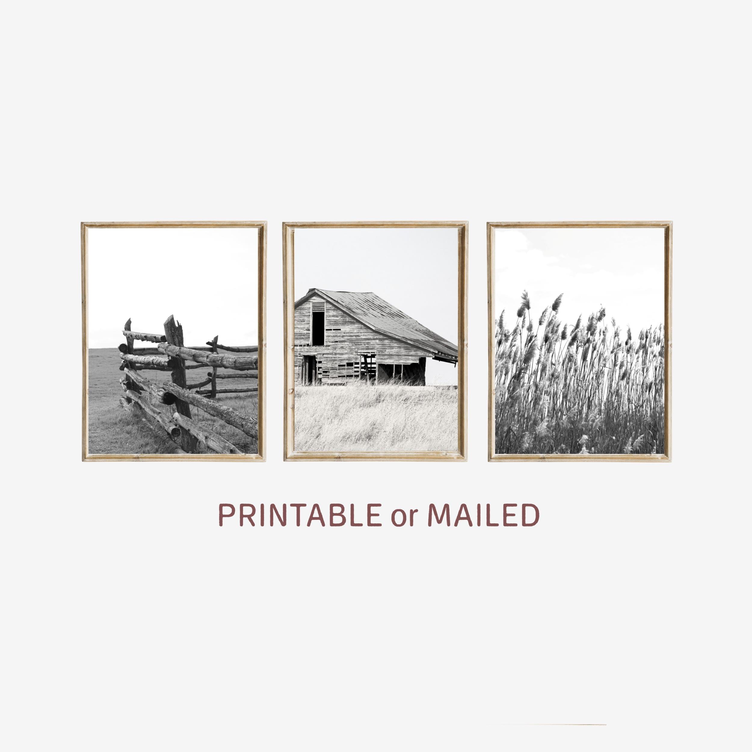 Farmhouse Black and White Set of 3 Photo Printable or Mailed, Southwest ...