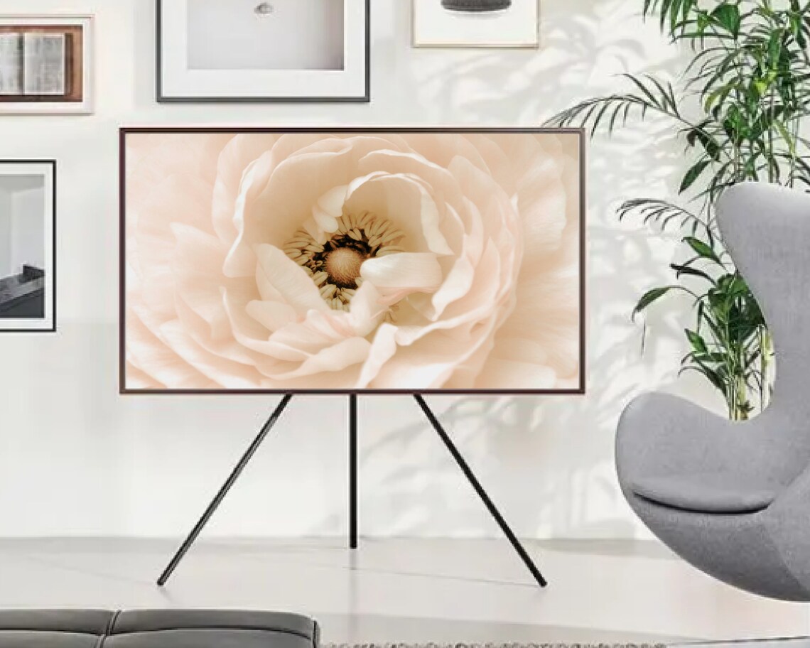 Samsung Frame Tv Art Pink Peony Instant Download Tv Art Peony Petals ...