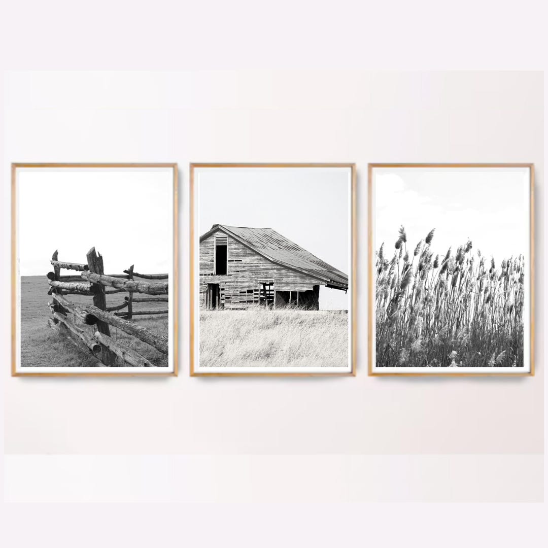 Farmhouse Black and White Set of 3 Photo Printable Southwest Print ...