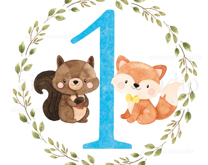 First Birthday Woodland Animals PNG, Watercolor Baby Animals, Woodland ...