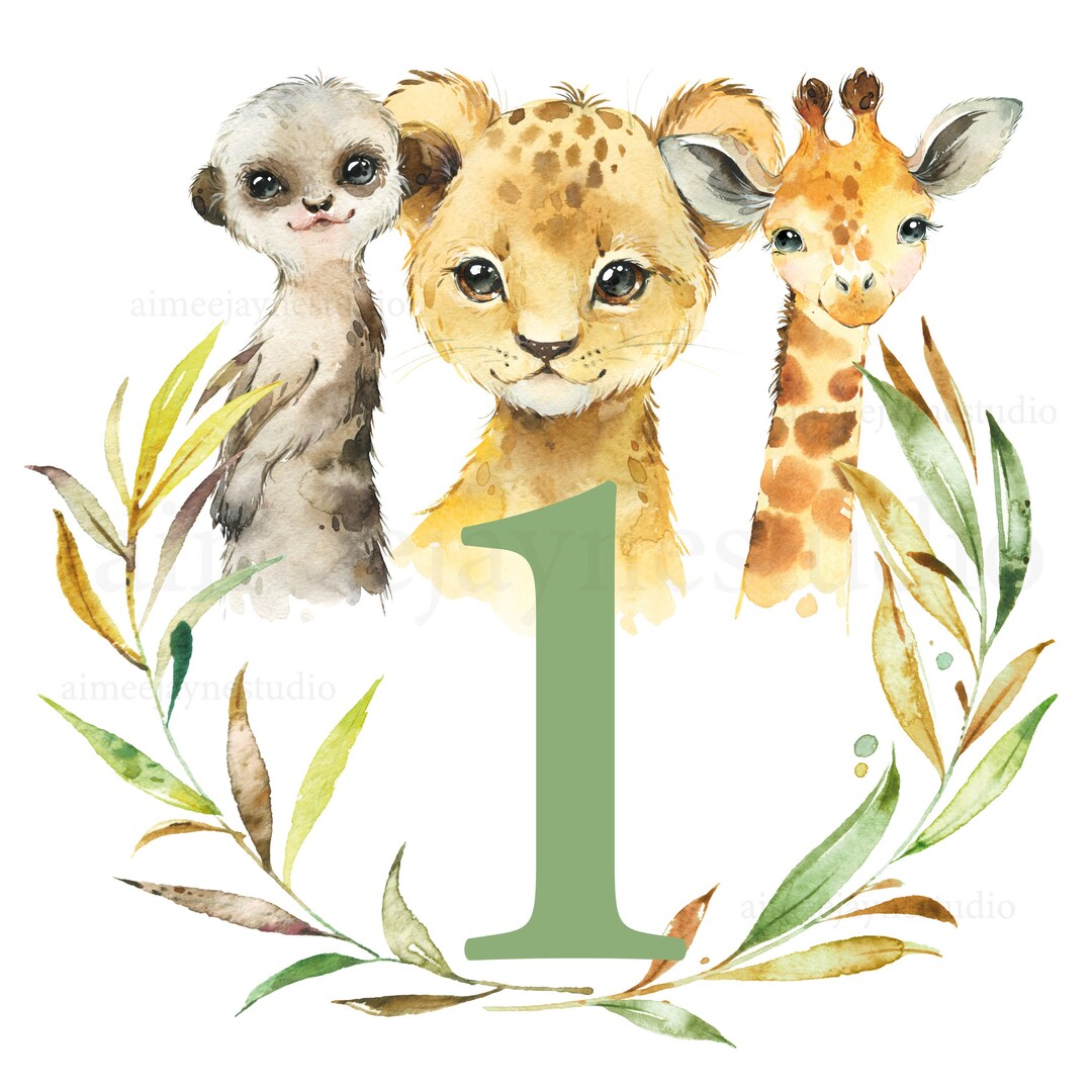 1st Birthday Safari PNG, Jungle First Birthday Graphic, Clip Art, Happy ...