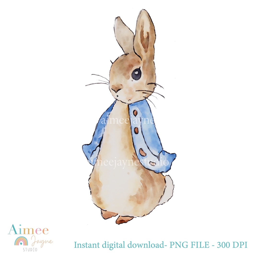 Peter Rabbit PNG, Peter Rabbit Clipart, Sublimation File, Design ...