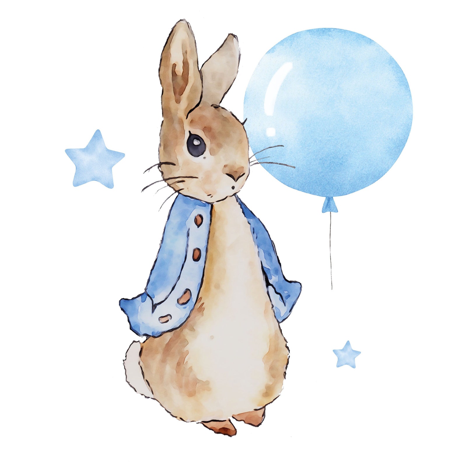 Peter Rabbit Clipart, PNG File Rabbit, Sublimation File, Design, Easter ...