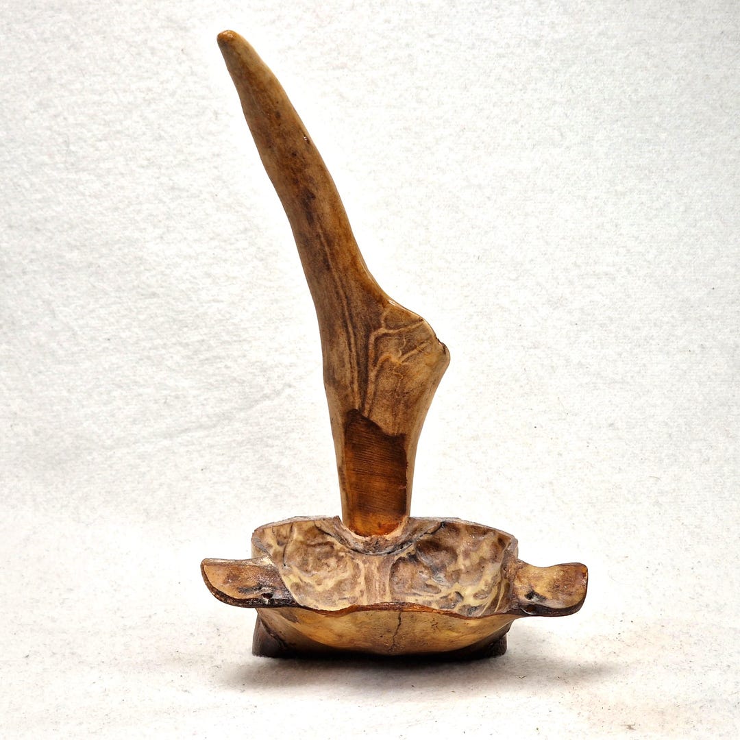 Hand Carved Antler Bowl With Handle, Natural Woodsy Rustic Decor ...
