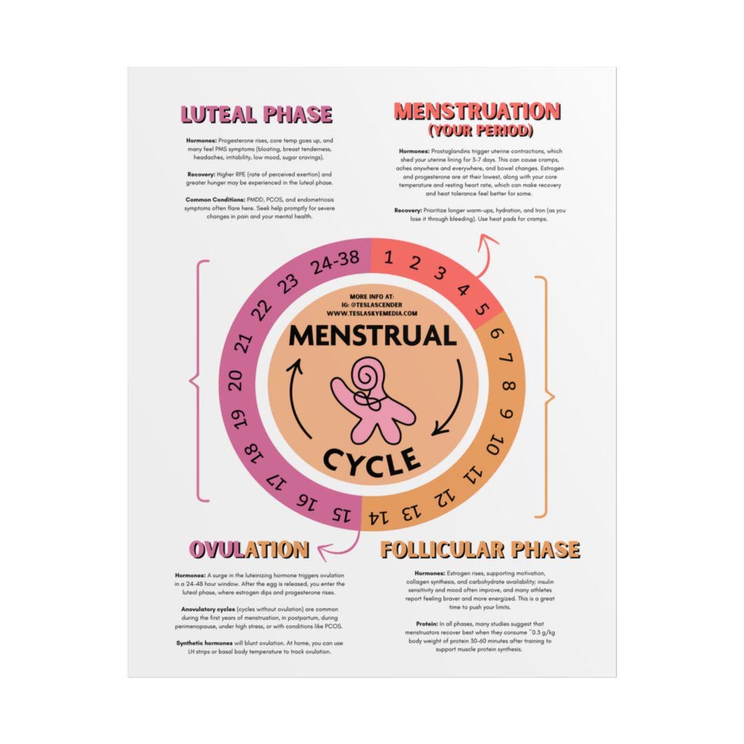 Menstrual Cycle Education Poster | In-person Delivery (ONLY Purchase If ...